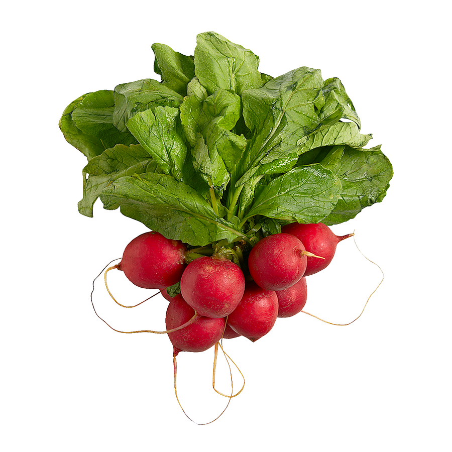 Radishes – VacationFoods