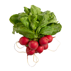 Radishes – VacationFoods