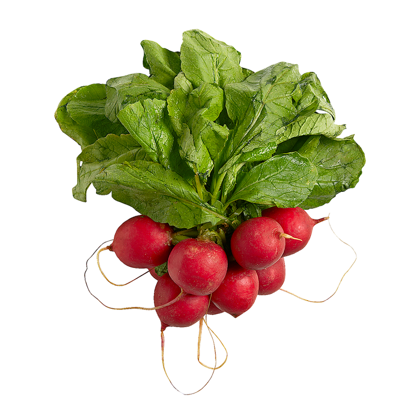 Radishes – VacationFoods